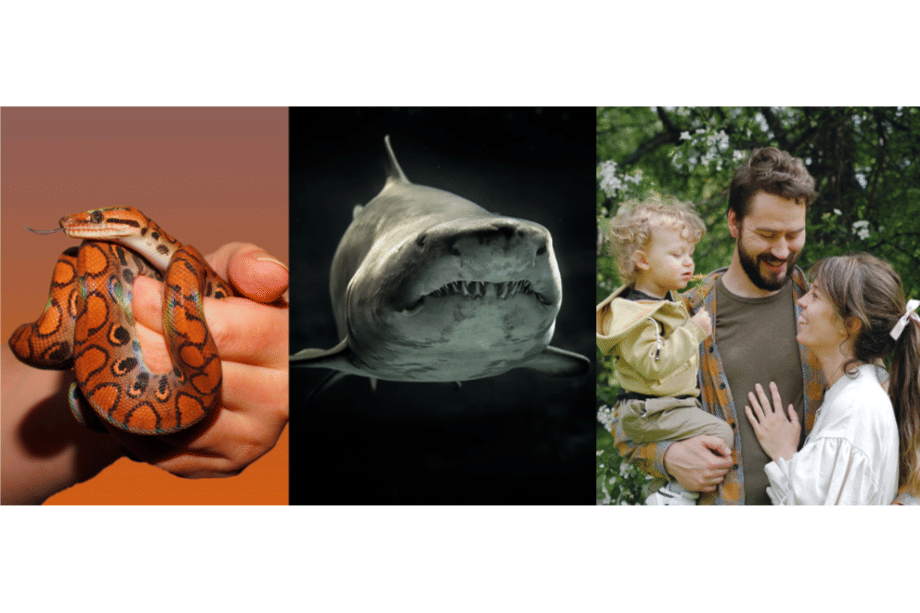 Perbedaan Fertilisasi Internal dan Eksternal | IDN Times