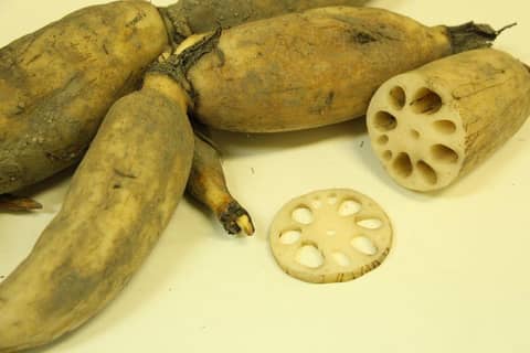 6 Fakta Lotus Root Powder, Makanan yang Viral di TikTok | IDN Times