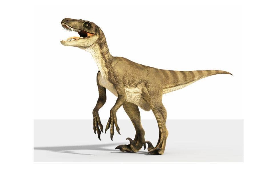 15 Jenis Dinosaurus Paling Populer, Pernah Muncul di Film | IDN Times