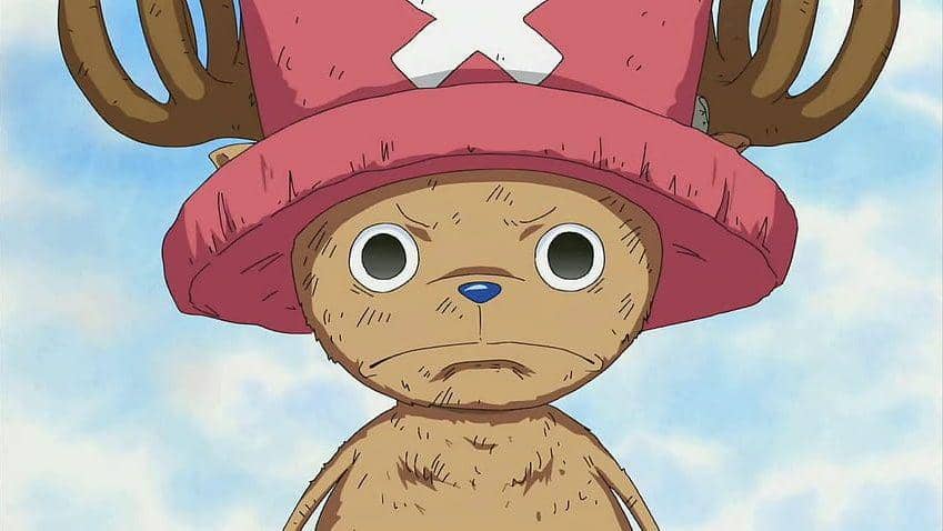 Arti Setiap Julukan Kru Topi Jerami dalam One Piece | IDN Times
