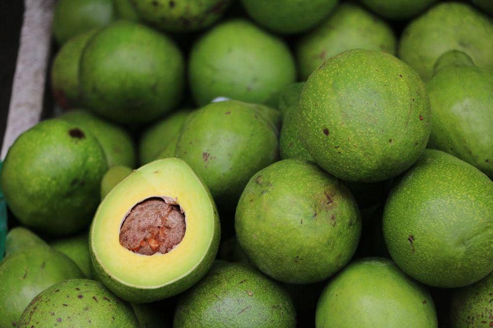 5 Trik Memilih Alpukat untuk Kopi Avocado Float | IDN Times