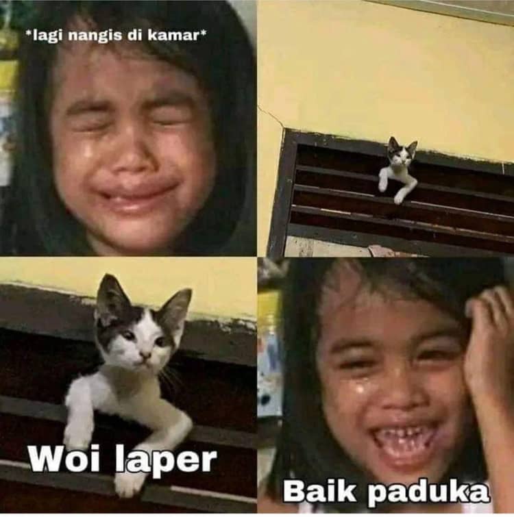 Meme Lucu Nangis Terus Tertawa | IDN Times