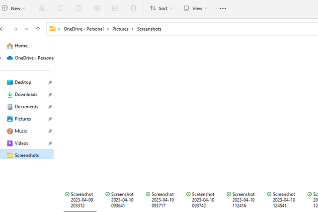 Cara Melihat Hasil Screenshot di Laptop, Mudah dan Cepat | IDN Times