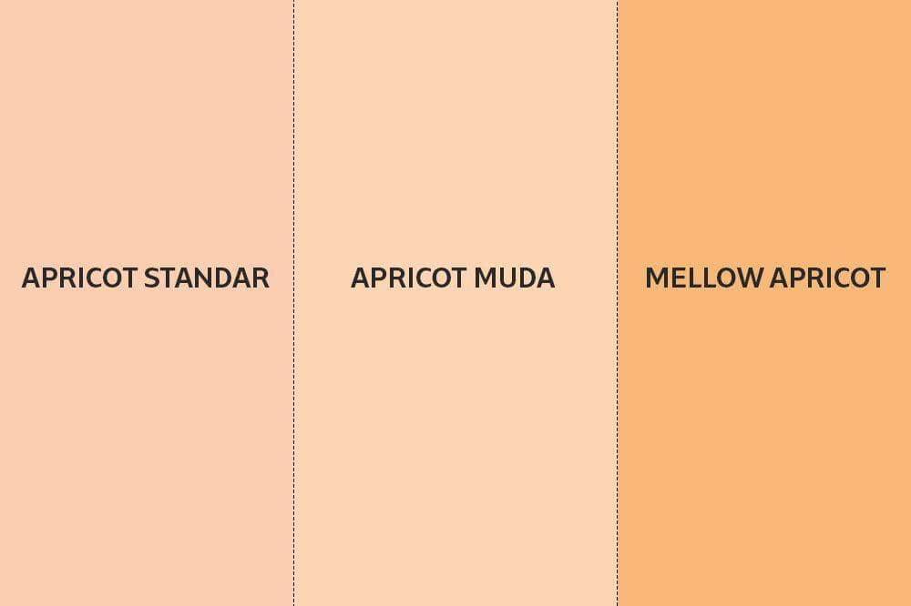 Warna Apricot Seperti Apa? Ini Jenis dan Padu Padannya! | IDN Times