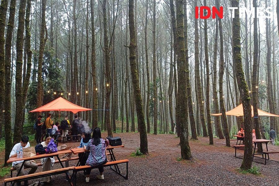 Wisata Tangkal Pinus Bandung: Lokasi, Rute, dan Harga | IDN Times