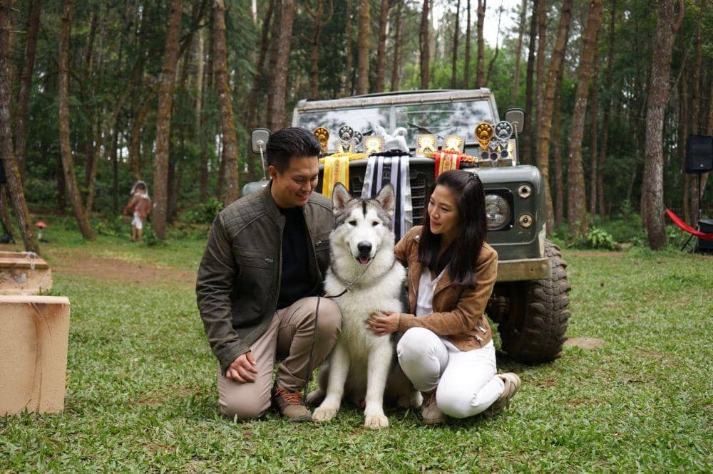 Kai Xavier, Anjing Termuda Peraih Indonesia Champion | IDN Times Jabar