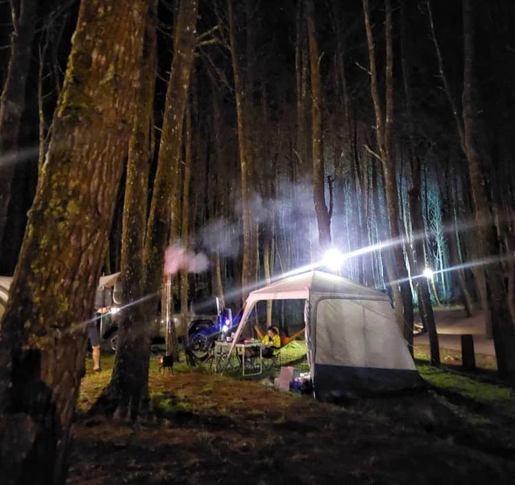 Wisata Tangkal Pinus Bandung: Lokasi, Rute, dan Harga | IDN Times