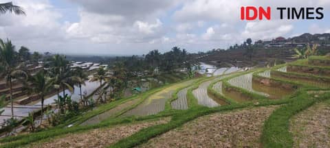 Target Investasi Tahun 2026 di Tabanan Sebesar Rp1,2 Triliun | IDN ...