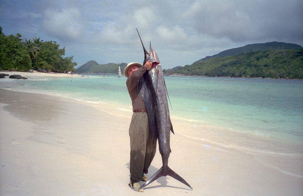 6 Fakta Ikan Layaran, Kecepatan Berenangnya Bikin Takjub! | IDN Times