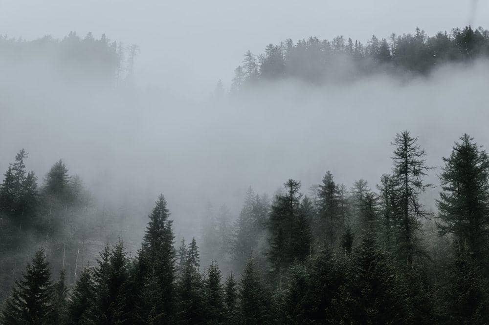 5 Perbedaan Kabut dan Polusi di Langit, Warnanya Tidak Sama | IDN Times