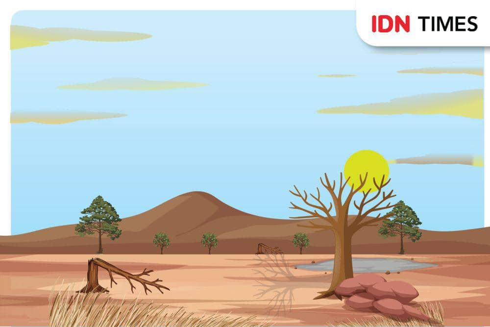 5 Fakta Etnis Rohingya: Asal dan Kenapa Dibenci di Myanmar | IDN Times
