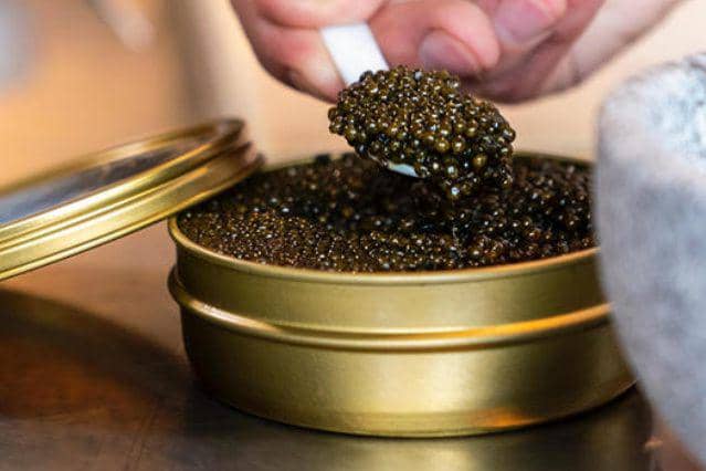 Fakta Caviar, Telur Ikan Istimewa | IDN Times