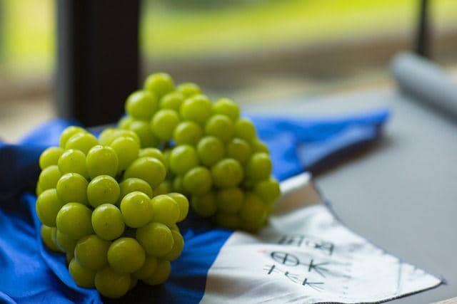 6 Fakta Anggur Muscat sebagai Anggur Termanis di Dunia | IDN Times