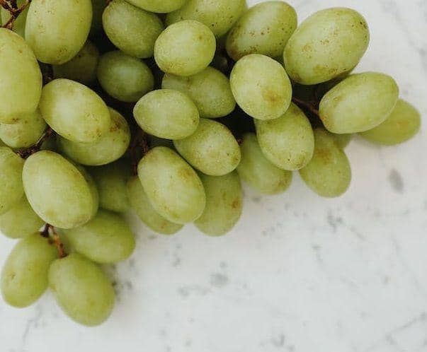 10 Jenis Buah Anggur yang Paling Populer di Dunia | IDN Times