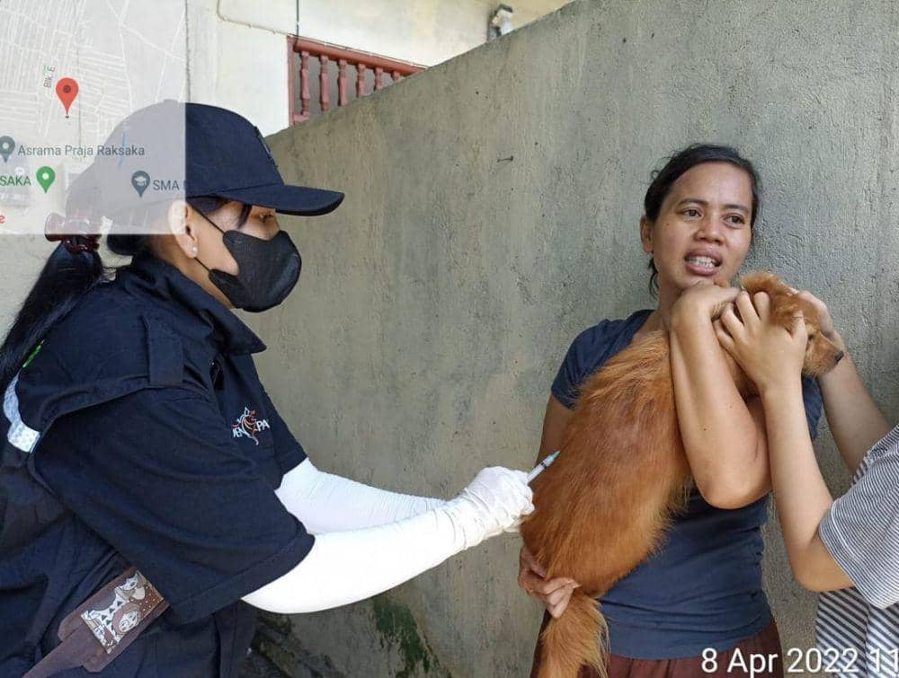 Jadwal Vaksin Rabies Denpasar Terbaru, Gratis! | IDN Times Bali