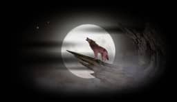 Skinwalker, Penyihir yang Bisa Berubah Bentuk Menjadi Hewan | IDN Times
