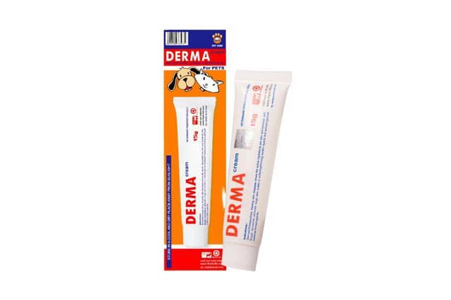 7 Obat Jamur Kucing yang Efektif dan Ampuh | IDN Times