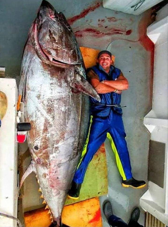 10 Potret Kocak Imbas Sudut Kamera Memancing, Manusia Ikan? | IDN Times ...