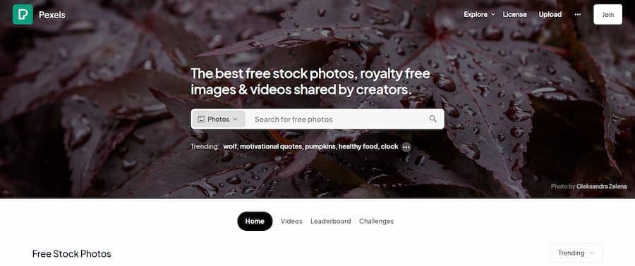 6 Situs Download Gambar Gratis dan Legal, Bisa Kualitas HD | IDN Times