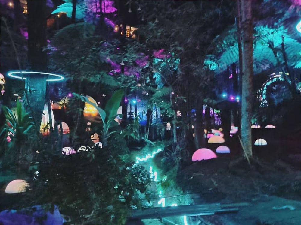 Hutan Mycelia Lembang: Lokasi, Harga Tiket, dan Tips Wisata | IDN Times