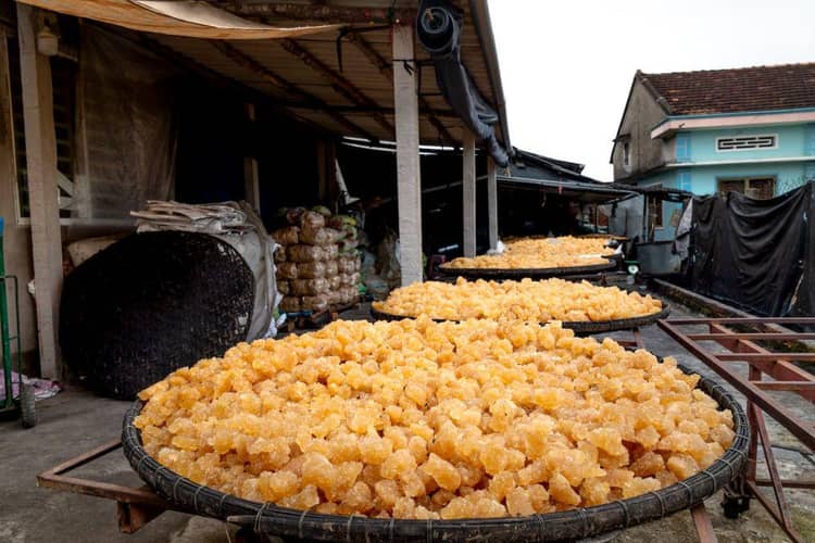 5 Fakta Manisan Pala, dari Daging Buah Pala yang Terbuang | IDN Times