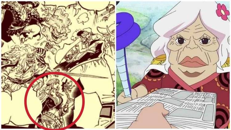 6 Fakta Tritoma One Piece, Ratu Amazon Lily Sebelum Hancock | Duniaku.com