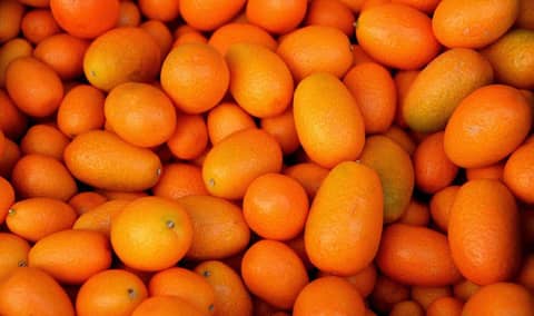 5 Fakta Jeruk Nagami, Kulitnya Bisa Dimakan! | IDN Times