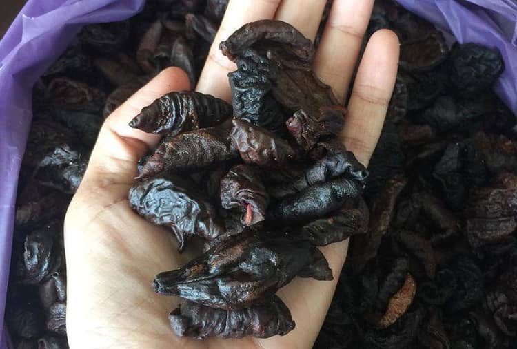 Mengenal Asam Kandis dan Kegunaannya dalam Masakan | IDN Times