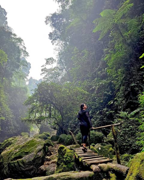 Curug Walet Bogor: Lokasi, Harga Tiket, dan Tips Liburan | IDN Times