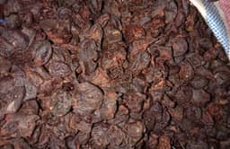 Mengenal Asam Kandis dan Kegunaannya dalam Masakan | IDN Times