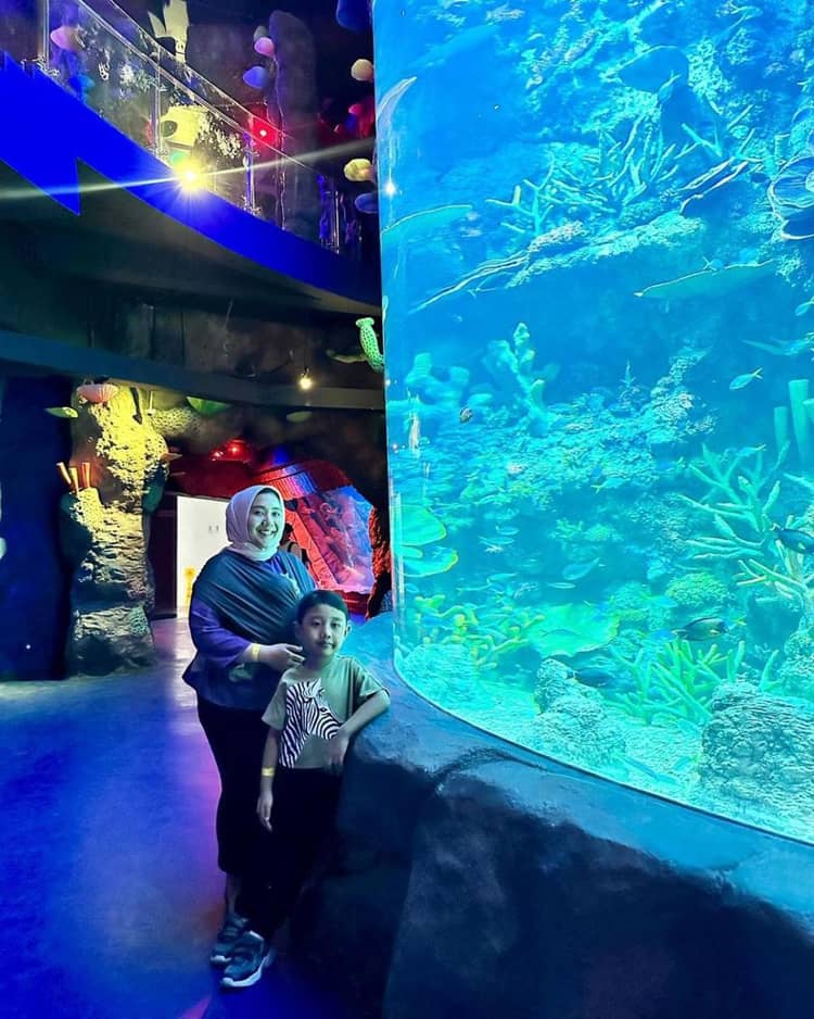 Oceanarium BXSea Bintaro: Lokasi, Harga Tiket, dan Tips | IDN Times