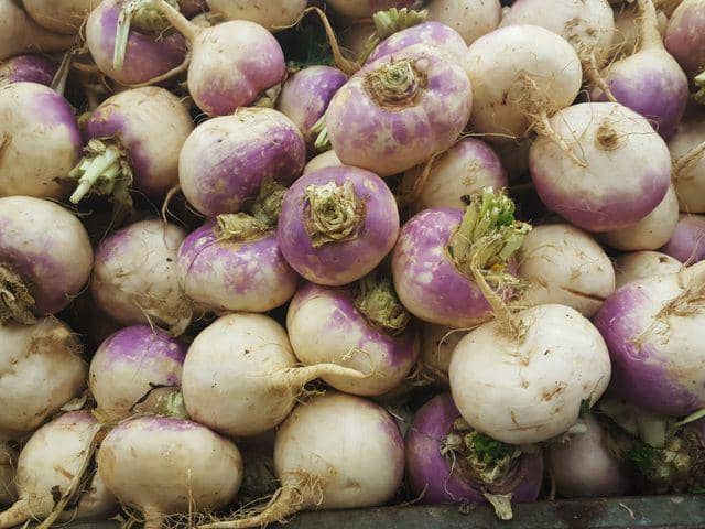 Perbedaan Radish, Turnip, dan Buah Bit yang Dianggap Sama | IDN Times