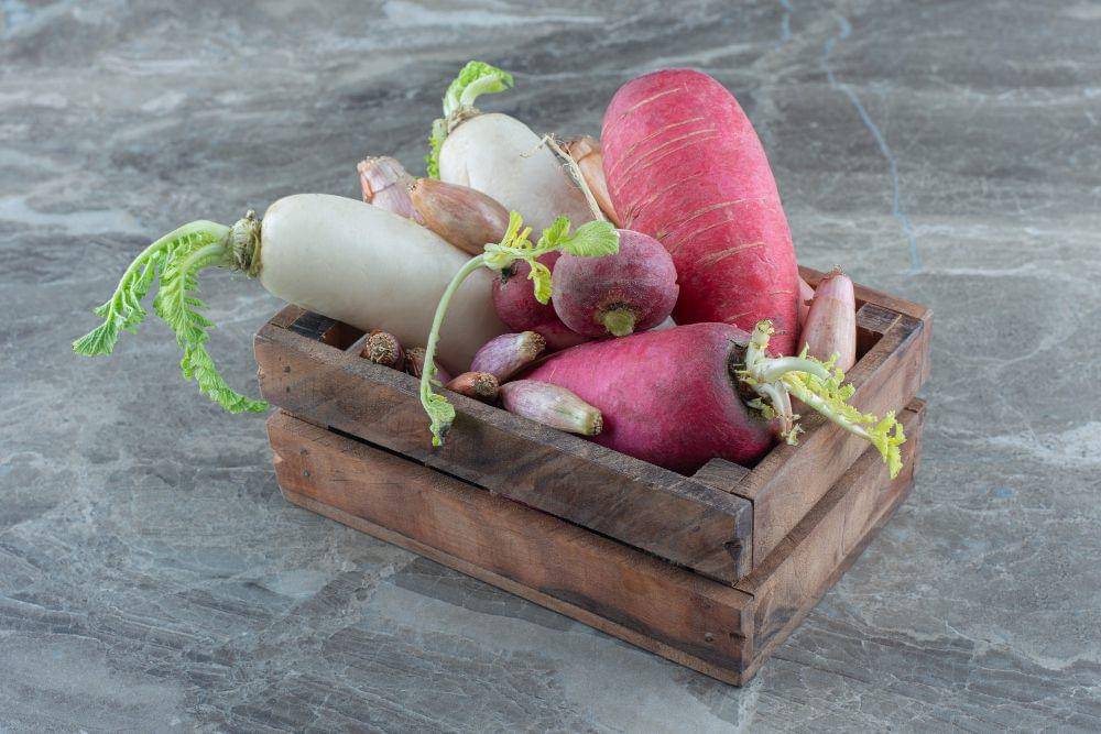 Perbedaan Radish, Turnip, dan Buah Bit yang Dianggap Sama | IDN Times