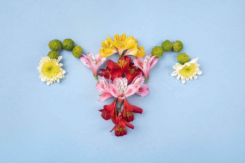 Mengenal Bagian-Bagian Bunga Vegetatif dan Reproduksi | IDN Times