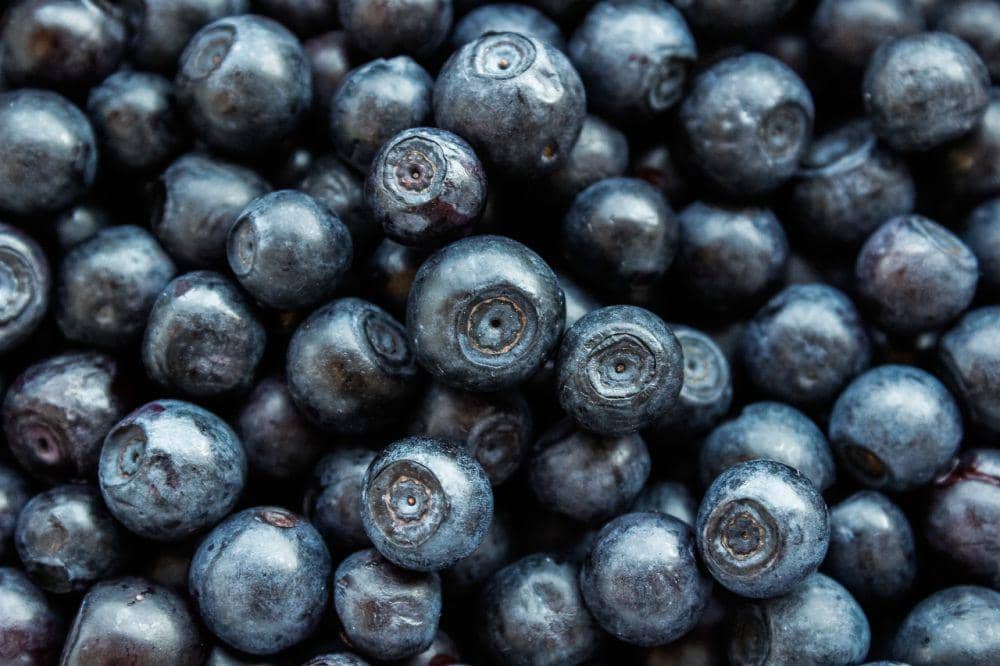 10 Tips Memilih Buah Blueberry yang Matang dan Siap Konsumsi | IDN ...