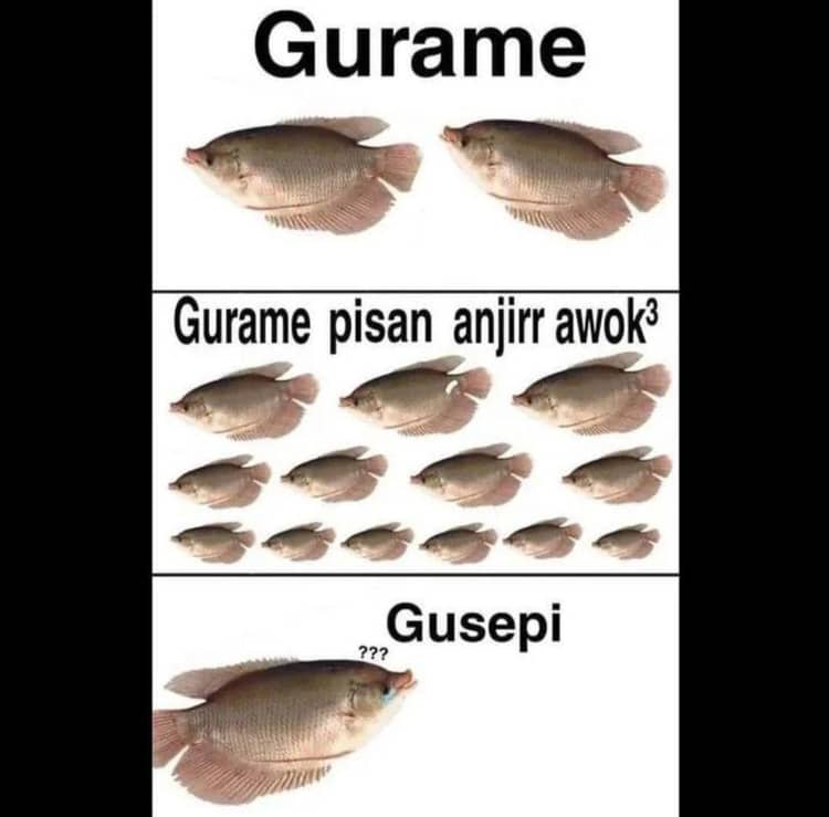 7 Meme Awokawok Ini Bikin Pengen Nyengir Sendirian | IDN Times