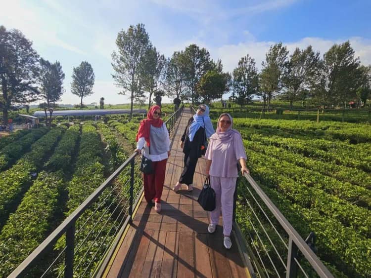 Goalpara Tea Park Sukabumi | IDN Times