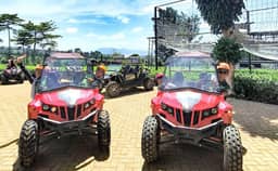 Goalpara Tea Park Sukabumi | IDN Times