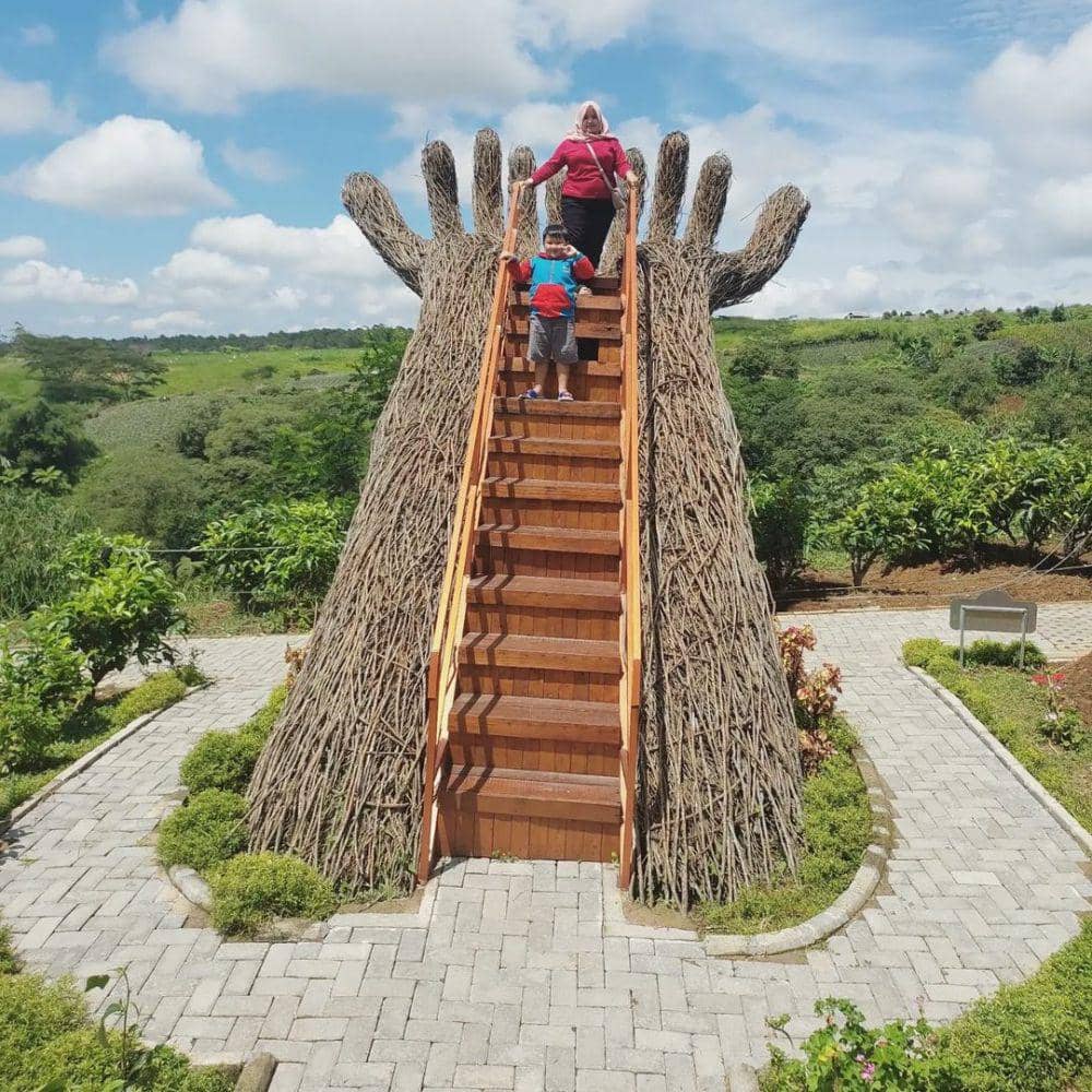 Goalpara Tea Park Sukabumi | IDN Times