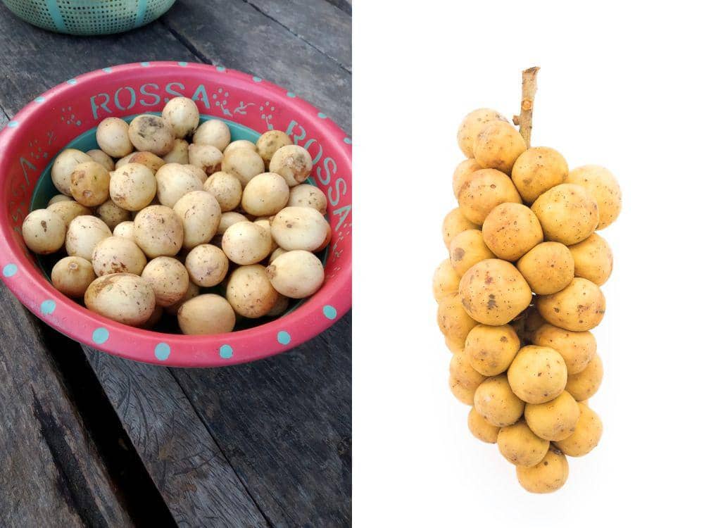 5 Perbedaan Duku dan Langsat, Hati-hati Salah Beli | IDN Times