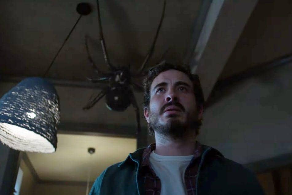 10 Film Horor tentang Laba-laba dan Serangga, Bikin Bergidik | IDN Times