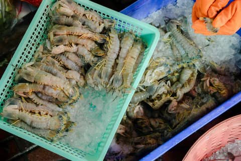 4 Tips Menyimpan Udang agar Segar dan Tidak Mudah Busuk | IDN Times