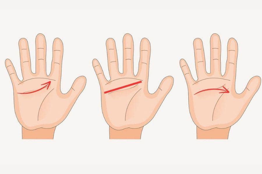 7 Arti Garis Tangan dan Cara Membacanya, Menarik! | IDN Times