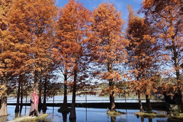 4 Waktu dan Musim Terbaik Liburan ke Taiwan | IDN Times