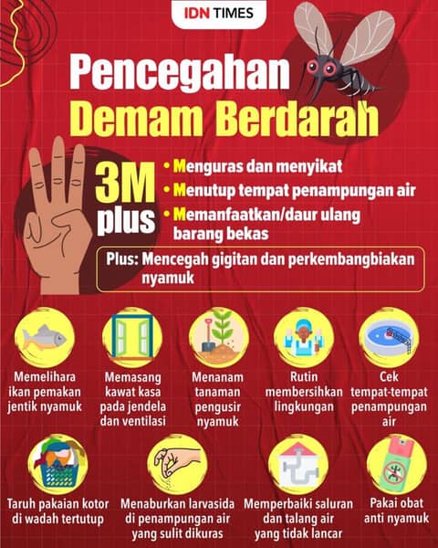 Perbedaan Demam Dengue dan Demam Berdarah Dengue | IDN Times