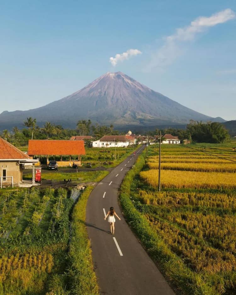 7 Spot Melihat Gunung Semeru dari Lumajang, Viewnya Memukau! | IDN Times