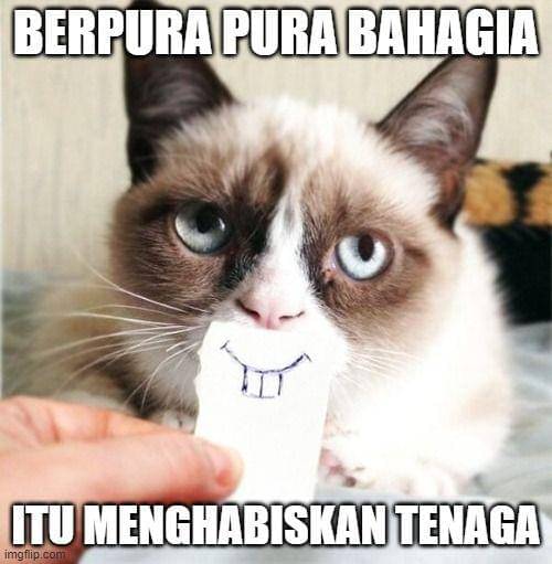 9 Meme Kucing Senyum yang Lucu, Ampuh Jadi Mood Booster | IDN Times