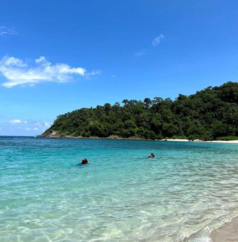 Info Wisata Pulau Bedil Banyuwangi: Lokasi, Rute, dan Harga | IDN Times