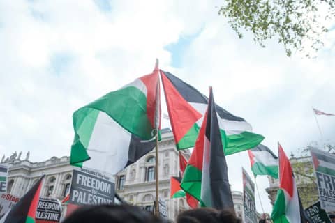 Eurovision: Bendera Palestina Dilarang, LGBT-Israel Boleh | IDN Times