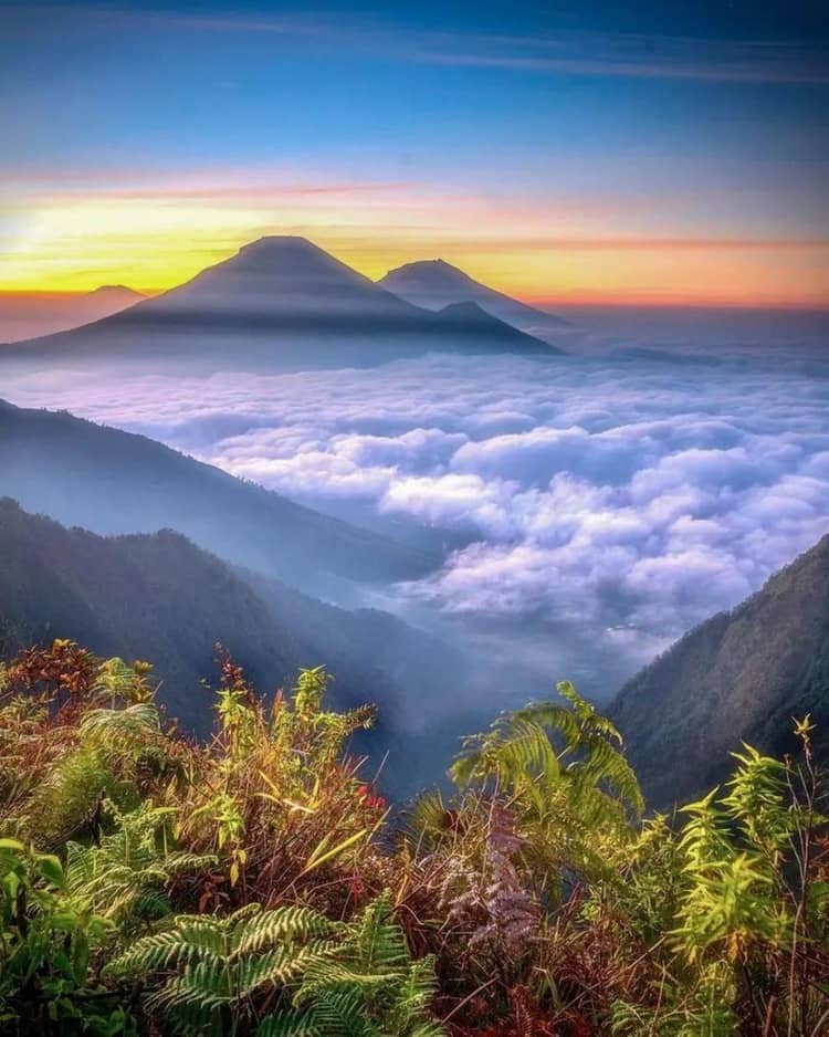 Jalur Pendakian Gunung Bismo Wonosobo, Lewati Mata Air Panas | IDN ...